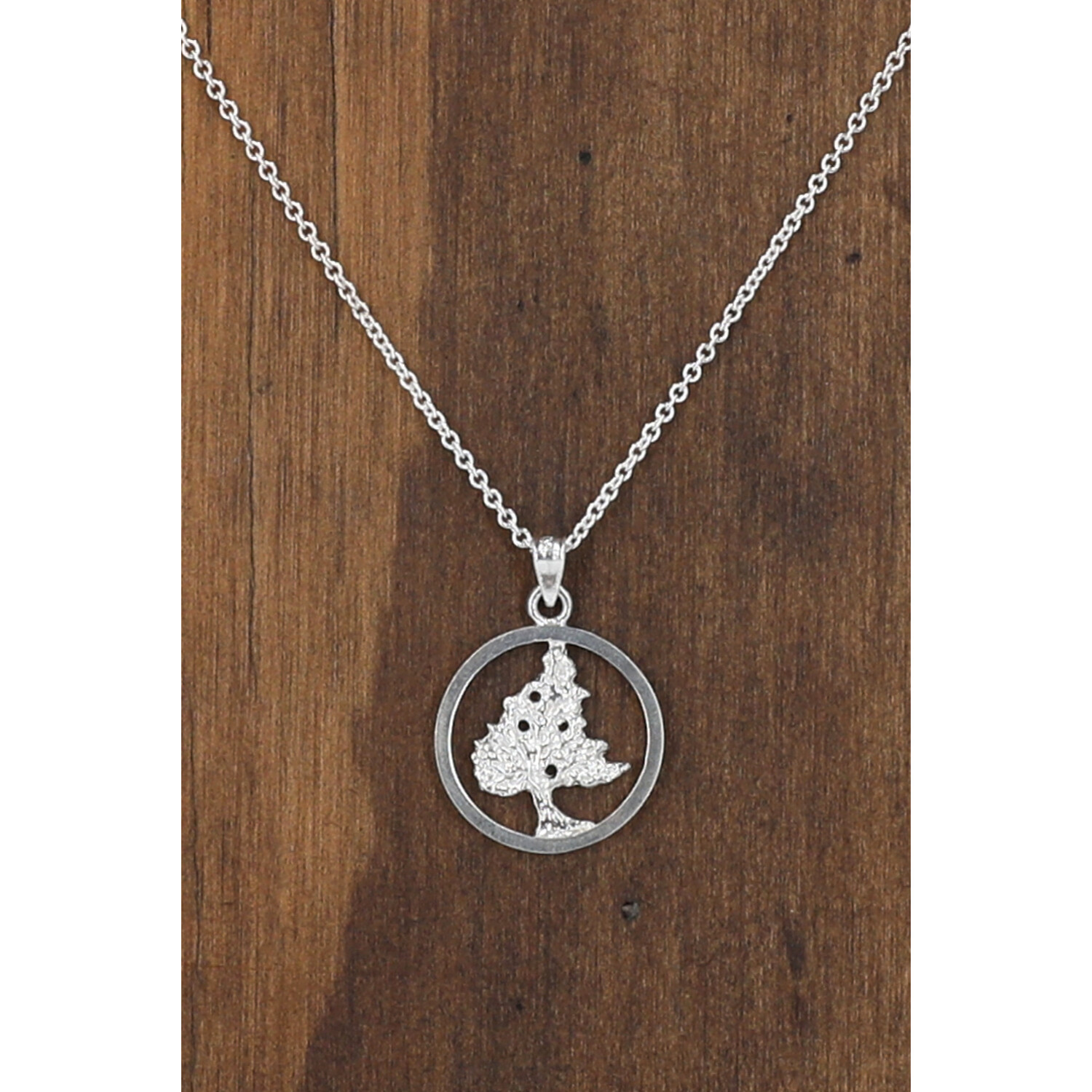 BIG CEDAR LODGE SILVER PENDANT WITH CHAIN – Shop Big Cedar